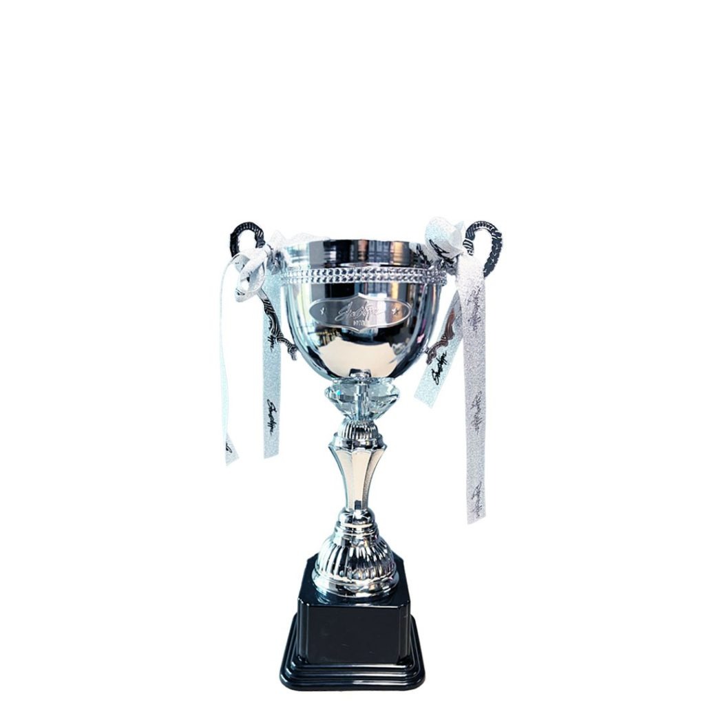 2026 Regional Trophy | Showstopper